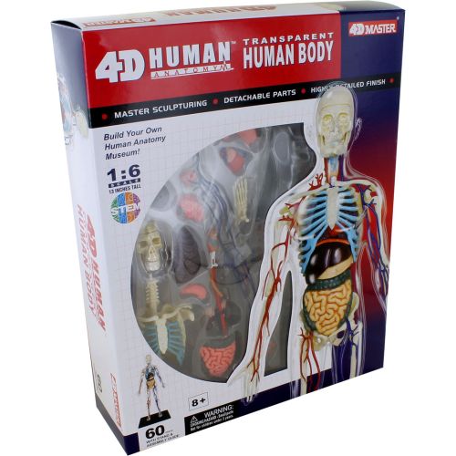 4D Transparent Human Body Anatomy Model Kit - 60 parts | xUmp